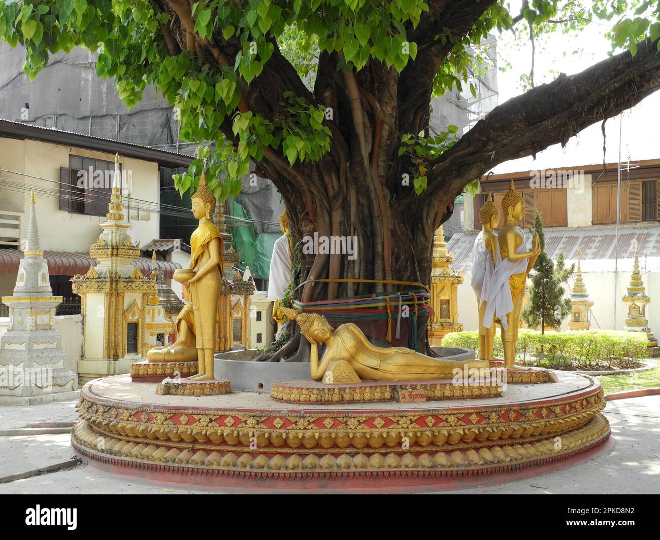 Old tree with Buddha statue, Wat Hai Sok temple, Vientiane, capital of ...