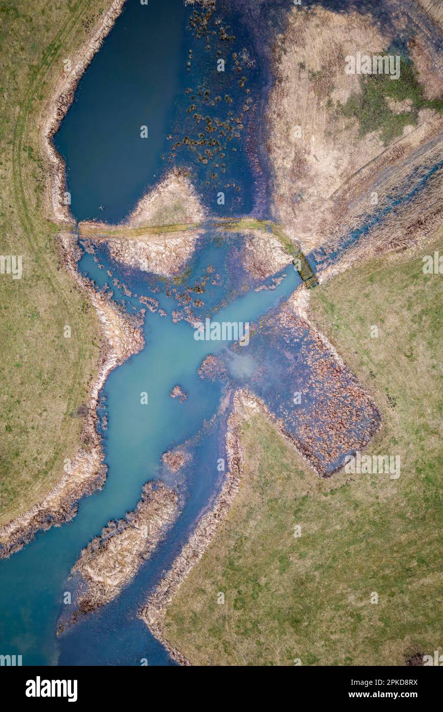Aerial photograph, lake landscape, reed area, floodplain, biotope ...