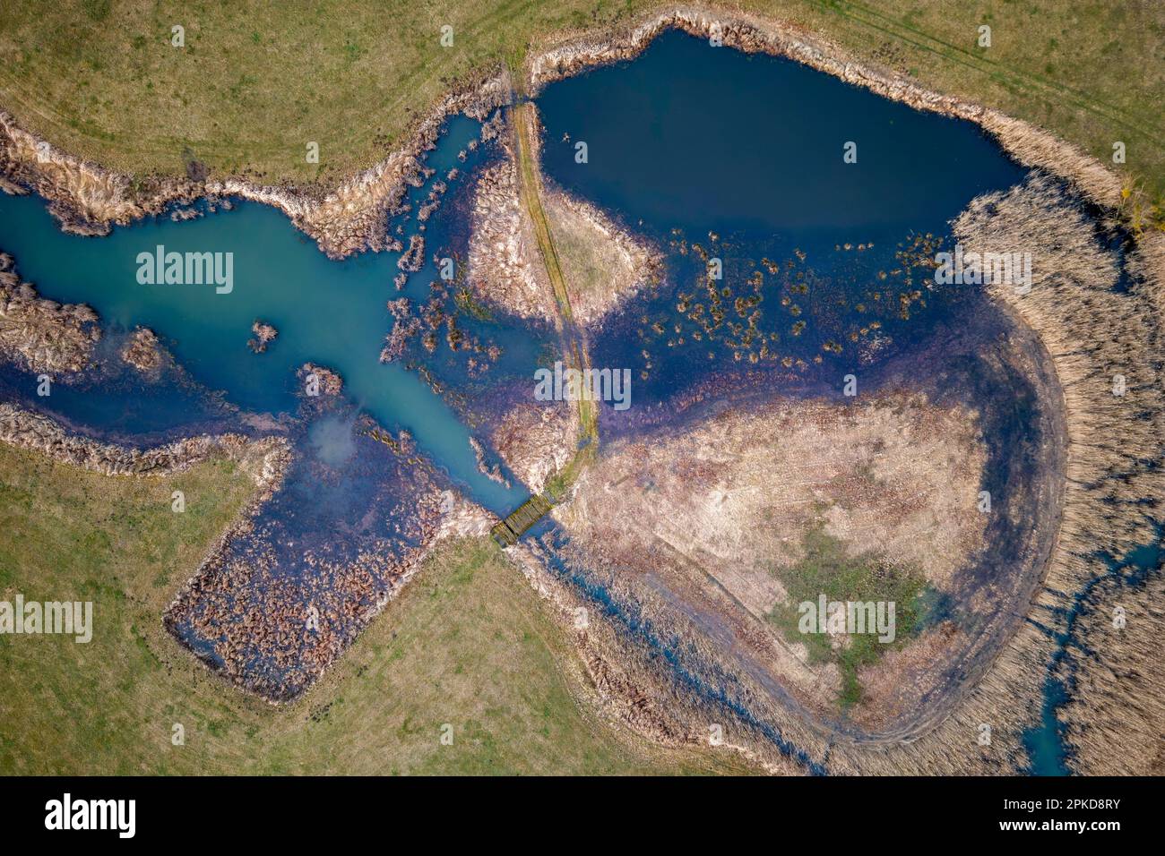 Aerial photograph, lake landscape, reed area, floodplain, biotope ...