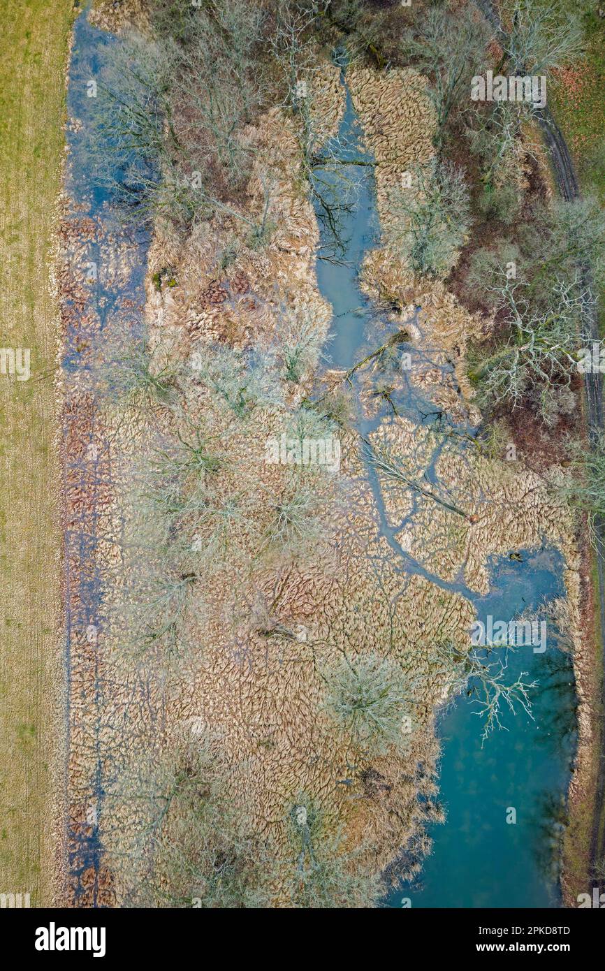 Aerial photograph, lake landscape, reed area, floodplain, biotope ...