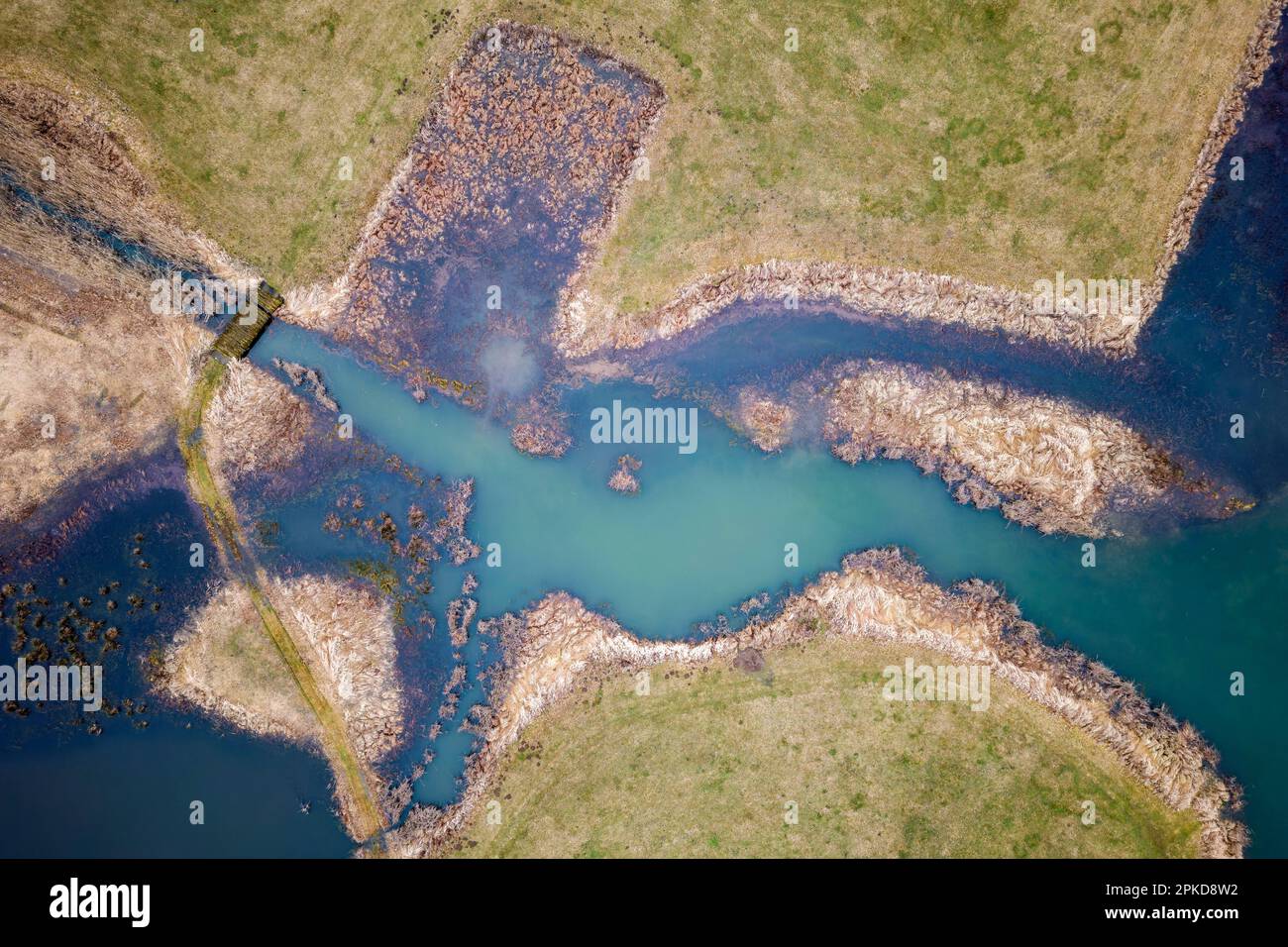 Aerial view, lake landscape, reed area, floodplain, biotope, habitat ...