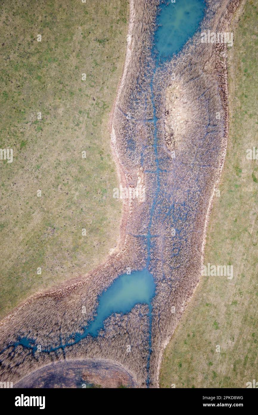 Aerial photograph, lake landscape, reed area, floodplain, biotope ...