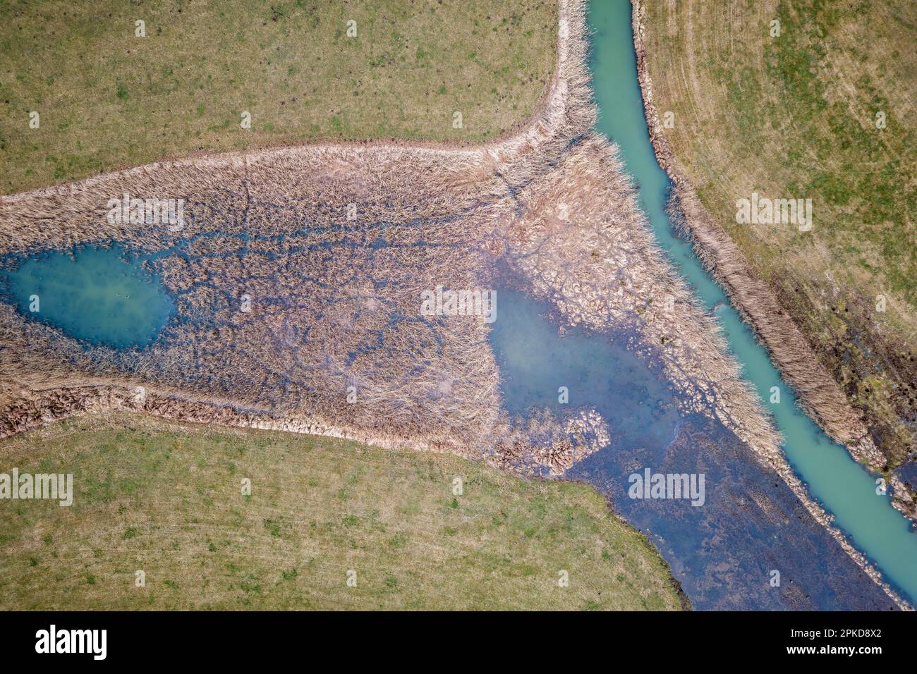 Aerial photograph, lake landscape, reed area, floodplain, biotope ...