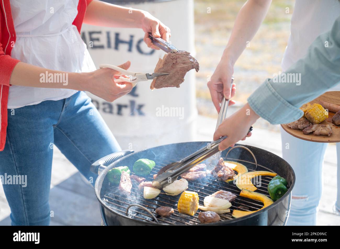 3 women barbecuing Stock Photo - Alamy