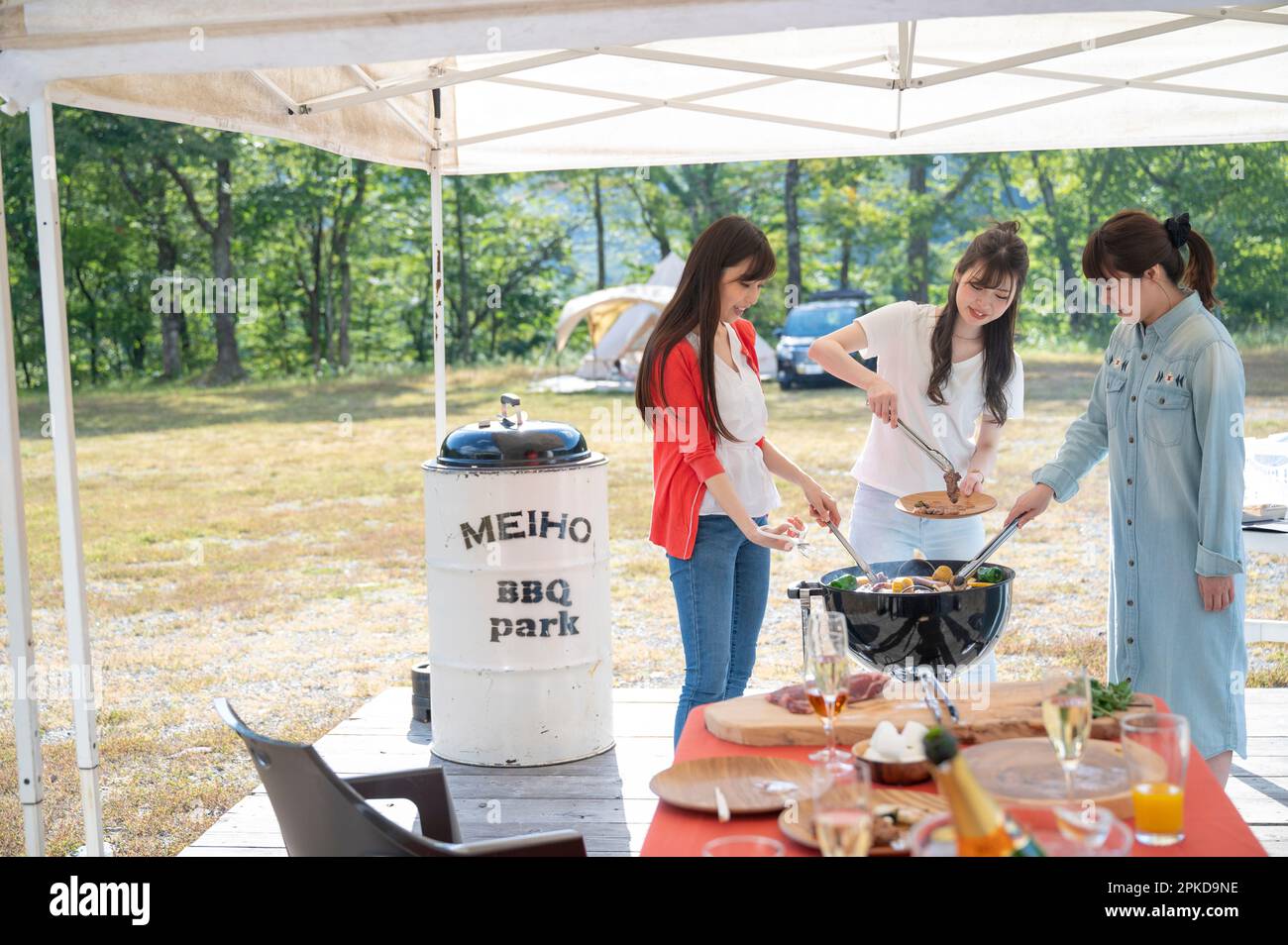 3 women barbecuing Stock Photo - Alamy