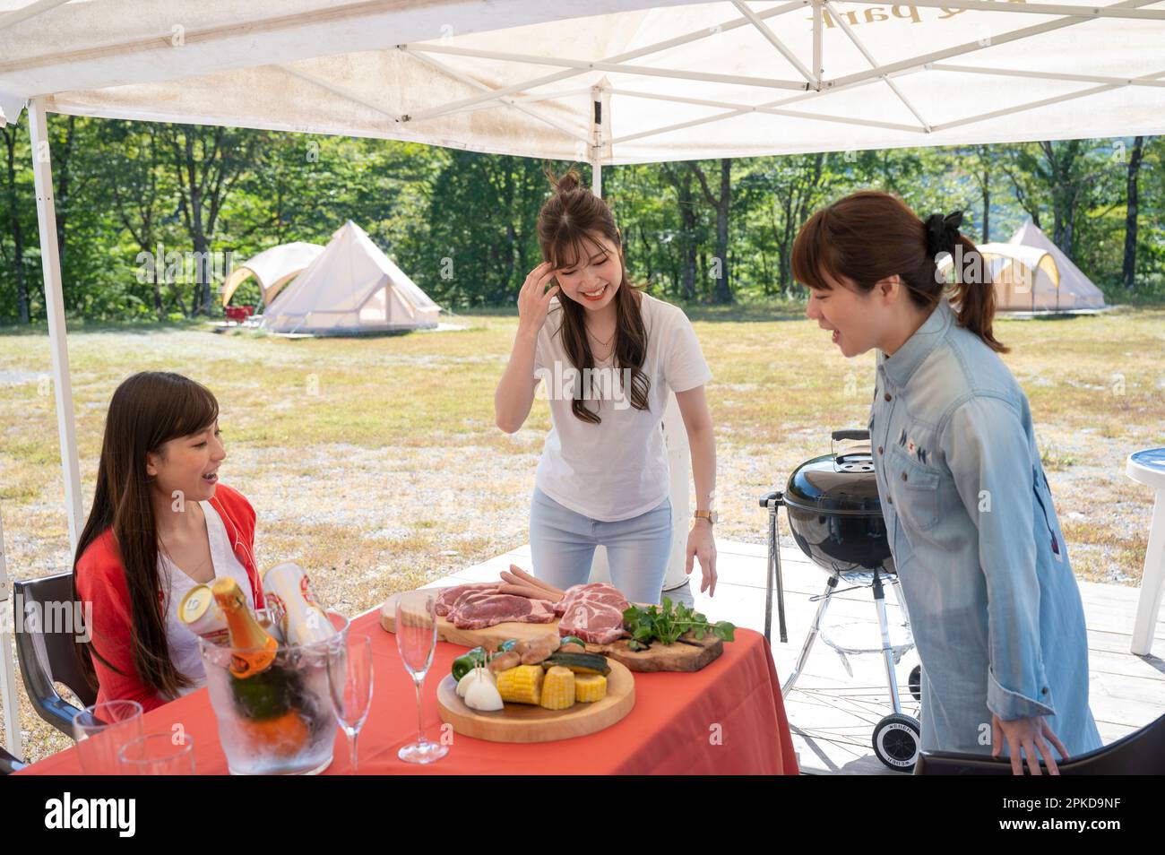 Woman barbecuing meat hi-res stock photography and images - Alamy