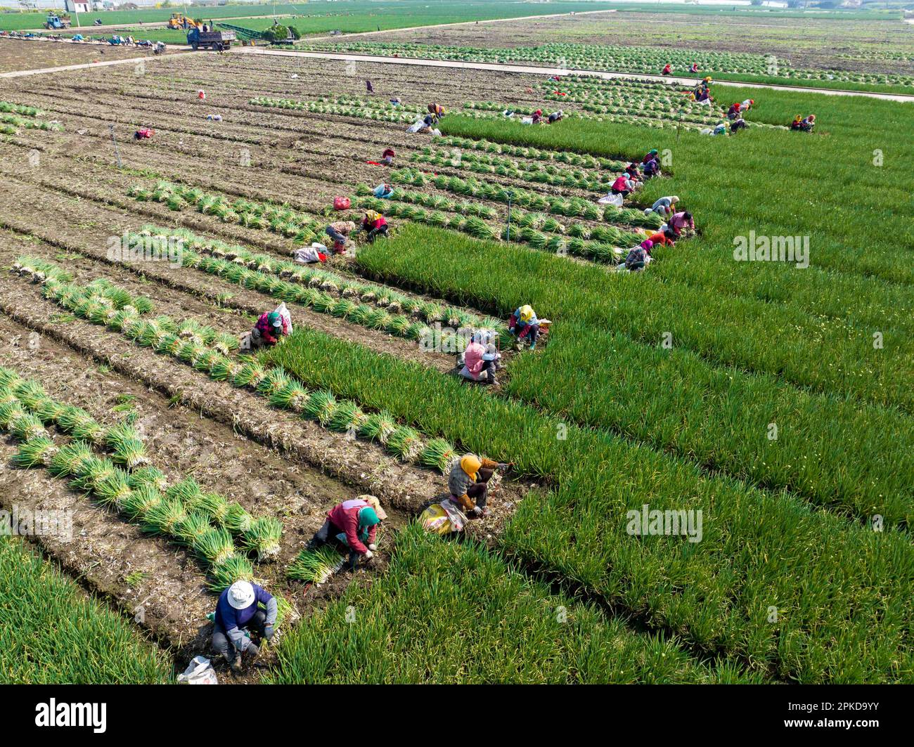 XINGHUA, CHINA - APRIL 7, 2023 - Aerial photo taken on April 7, 2023 ...