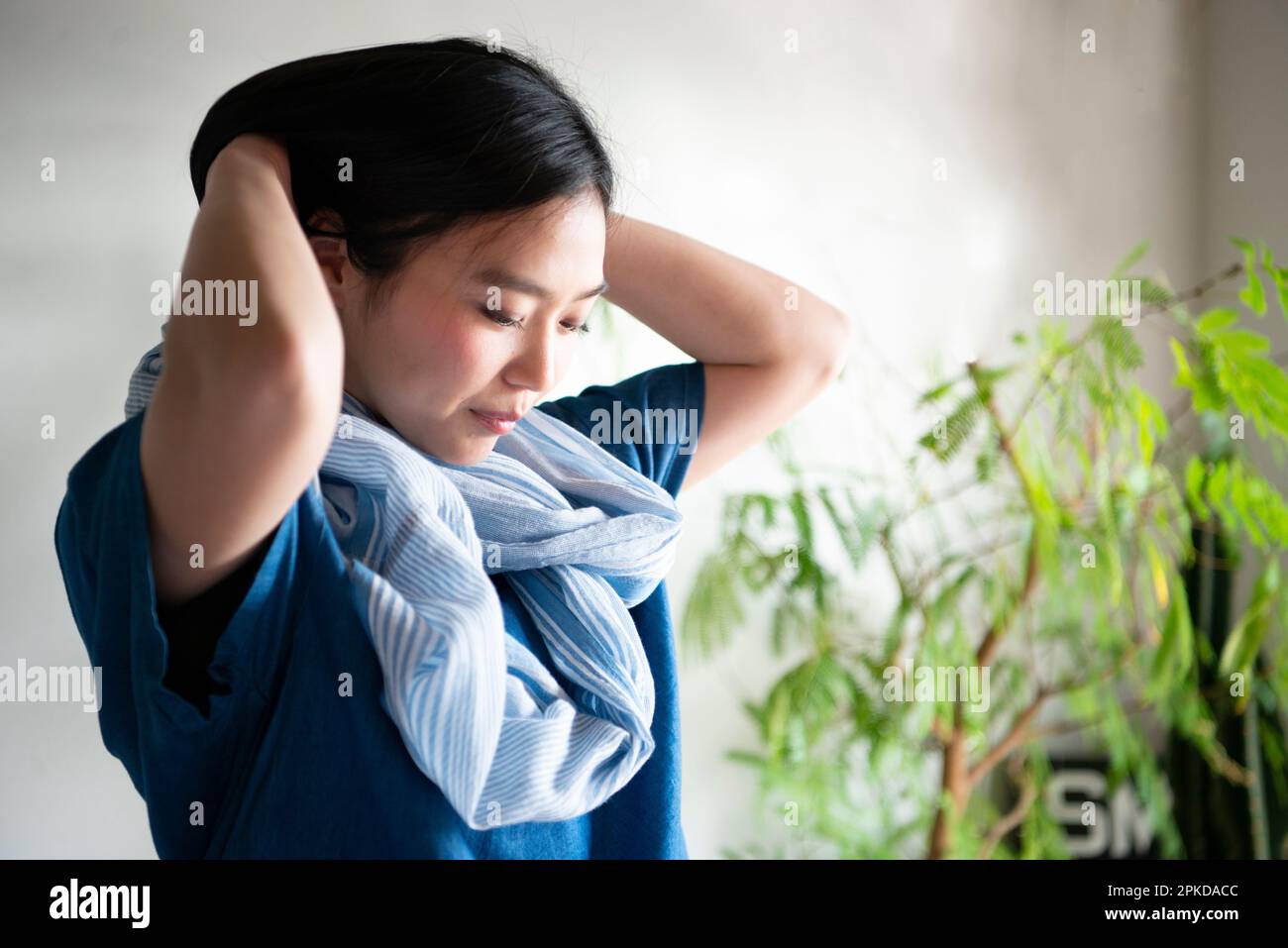 Stole hi-res stock photography and images - Alamy