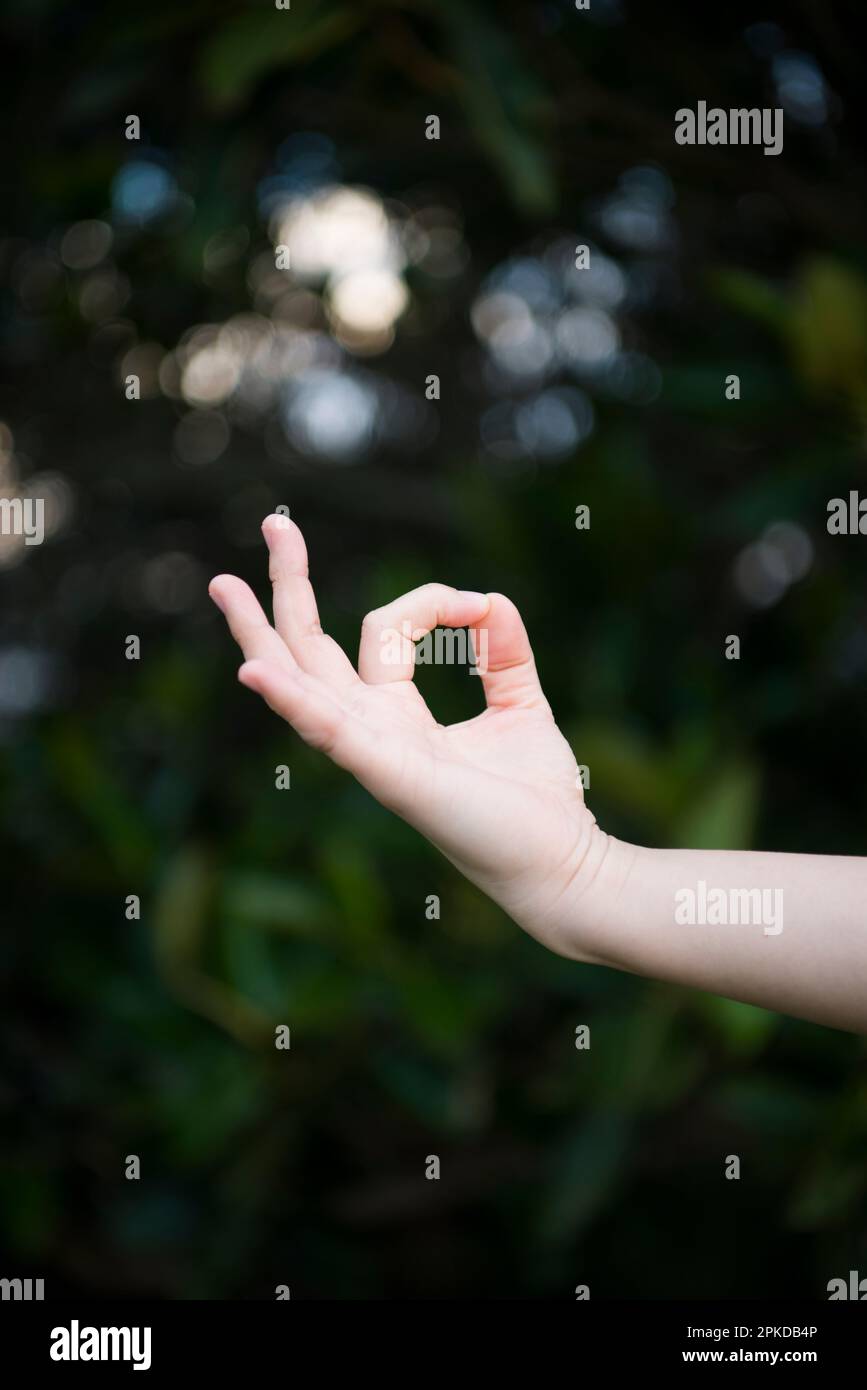 Hands poses hi-res stock photography and images - Alamy