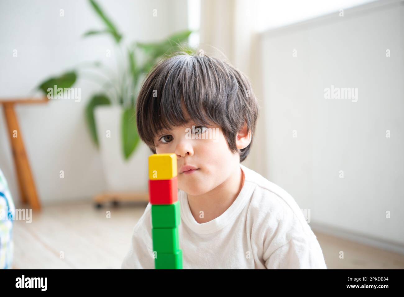 Children playing with building blocks Stock Photo - Alamy