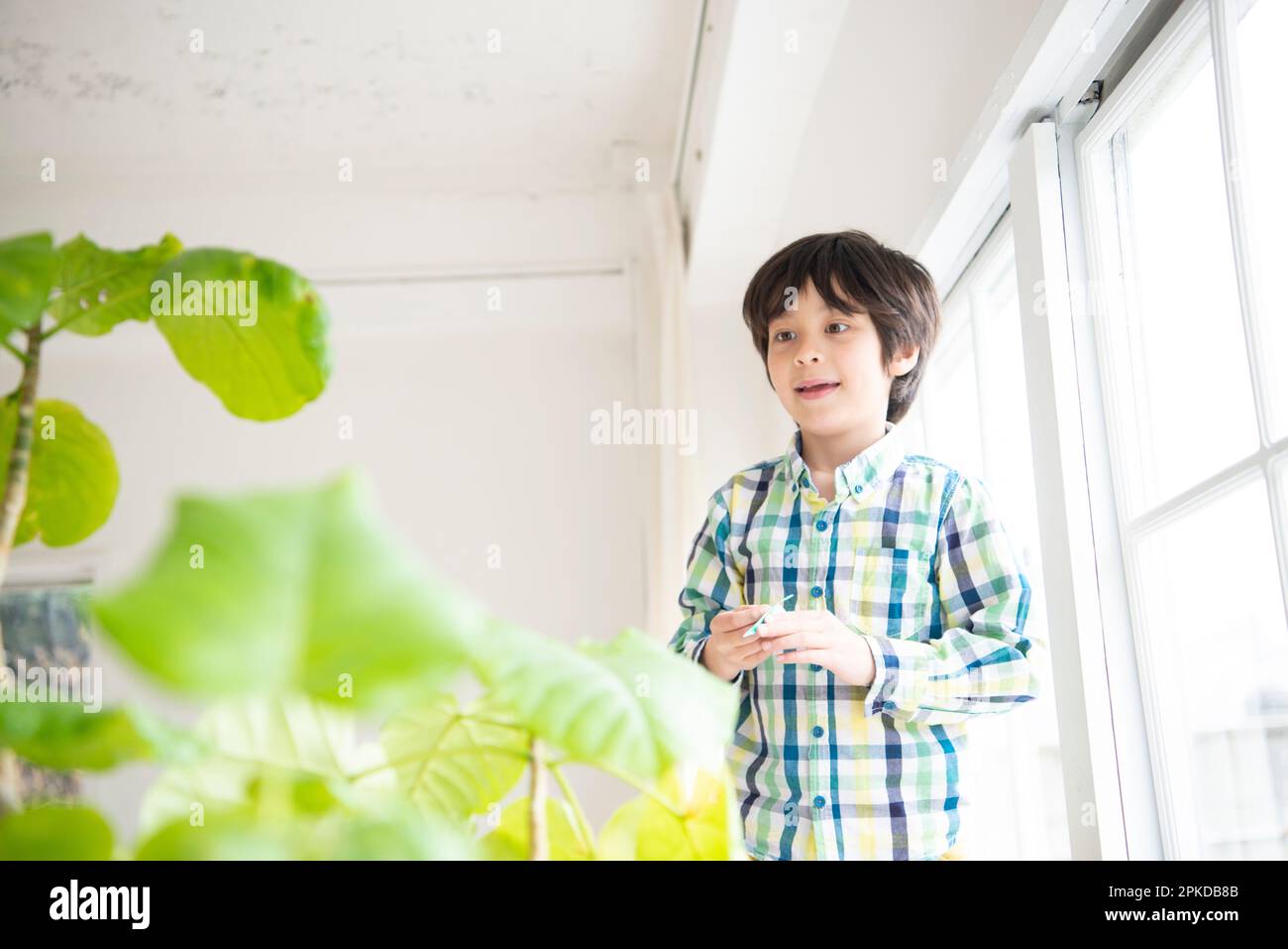 Boy by the window Stock Photo - Alamy