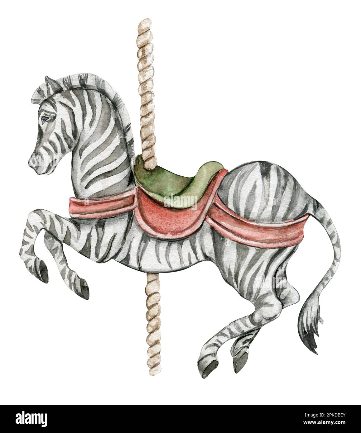 Watercolor hand drawn circus zebra vintage style. Perfect for wedding ...