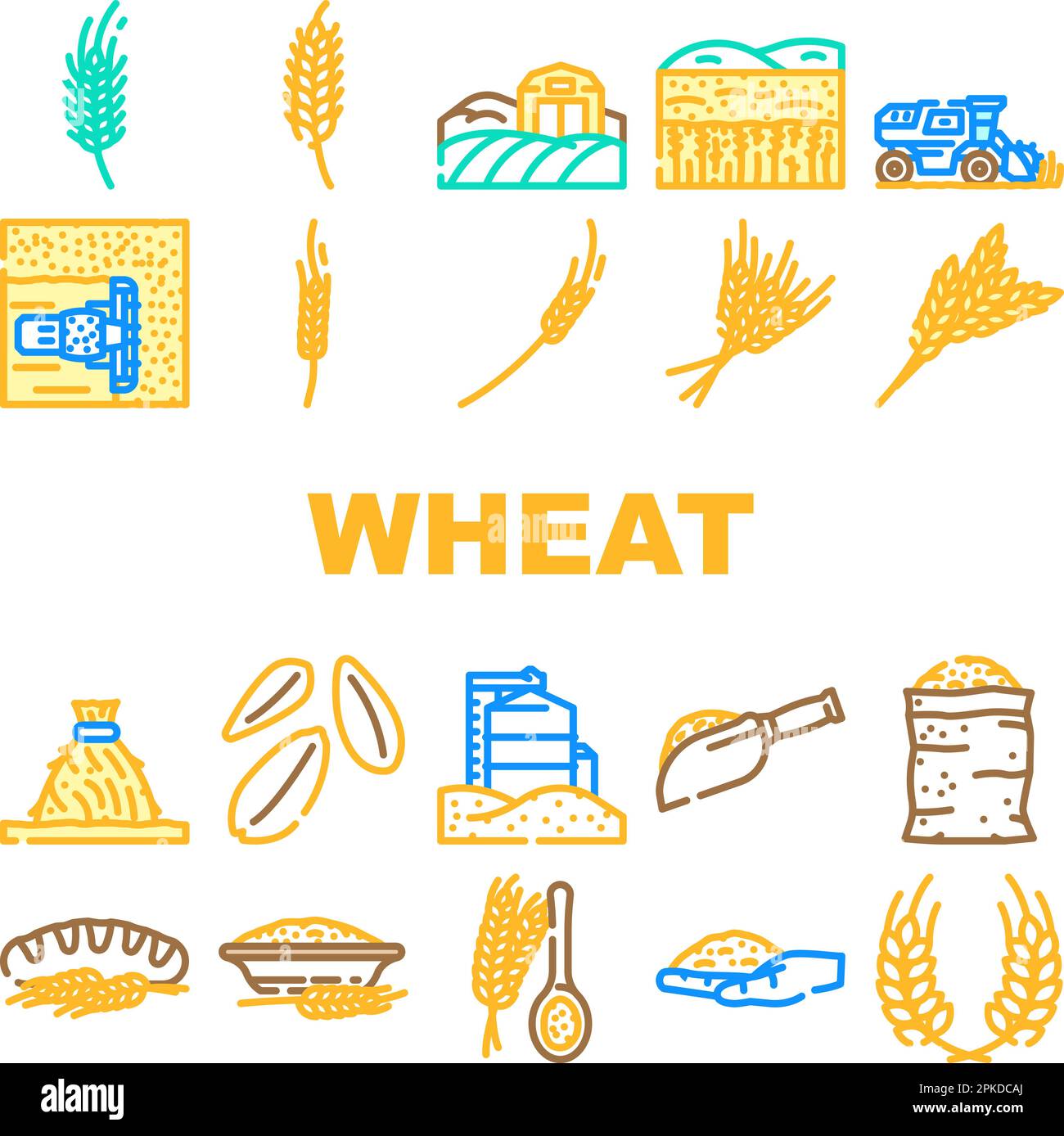 Cereal plant illustrations Stock Vector Images - Alamy