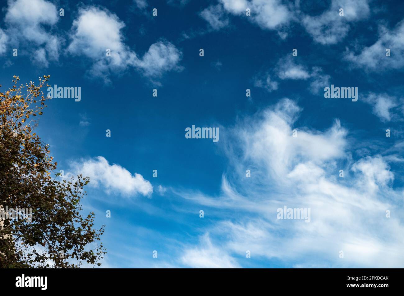 Beautiful scene low angle hi-res stock photography and images - Alamy