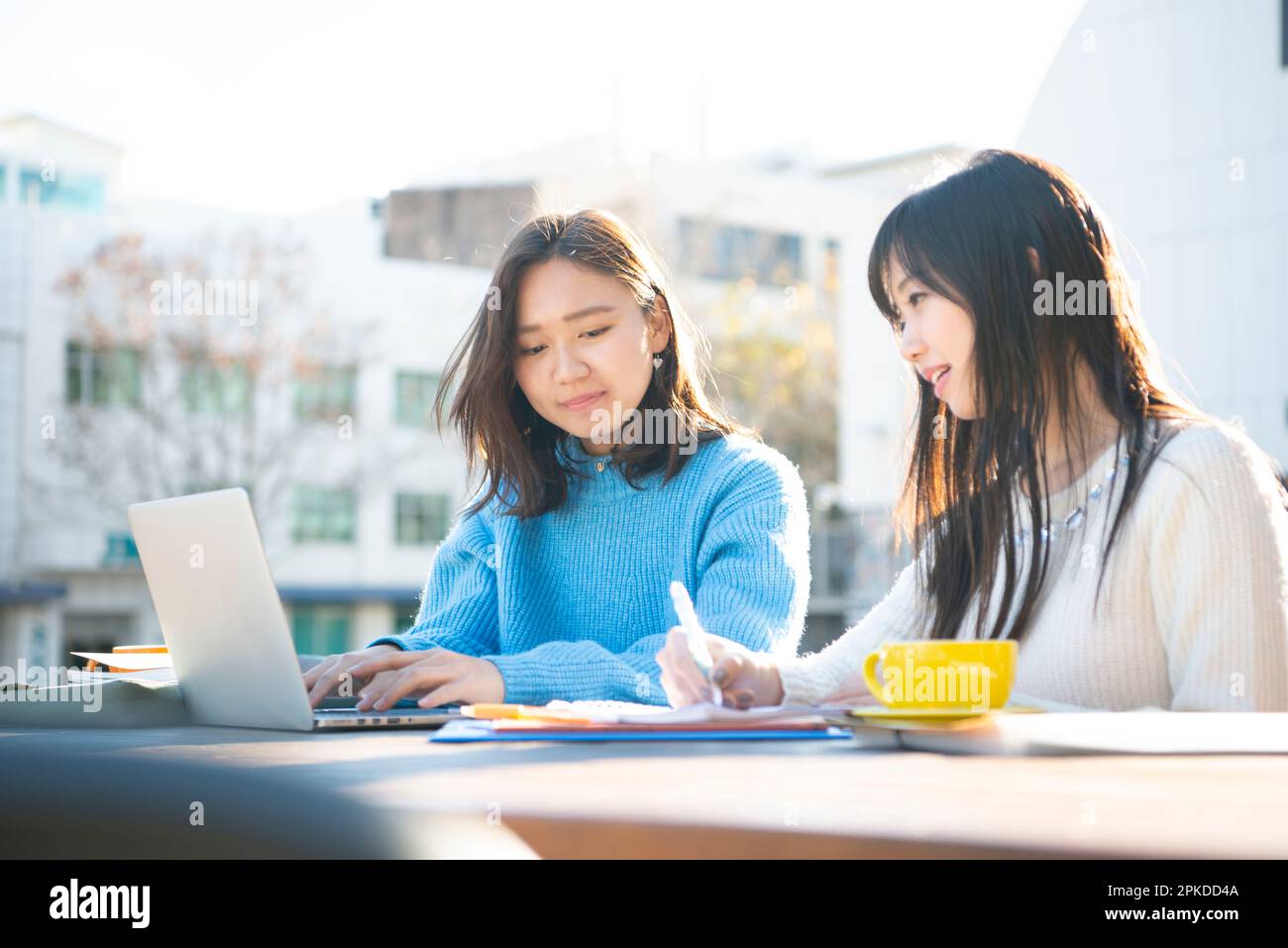 Two people studying at a café Stock Photo - Alamy