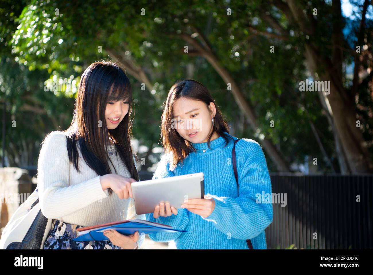 Student looking hi-res stock photography and images - Alamy