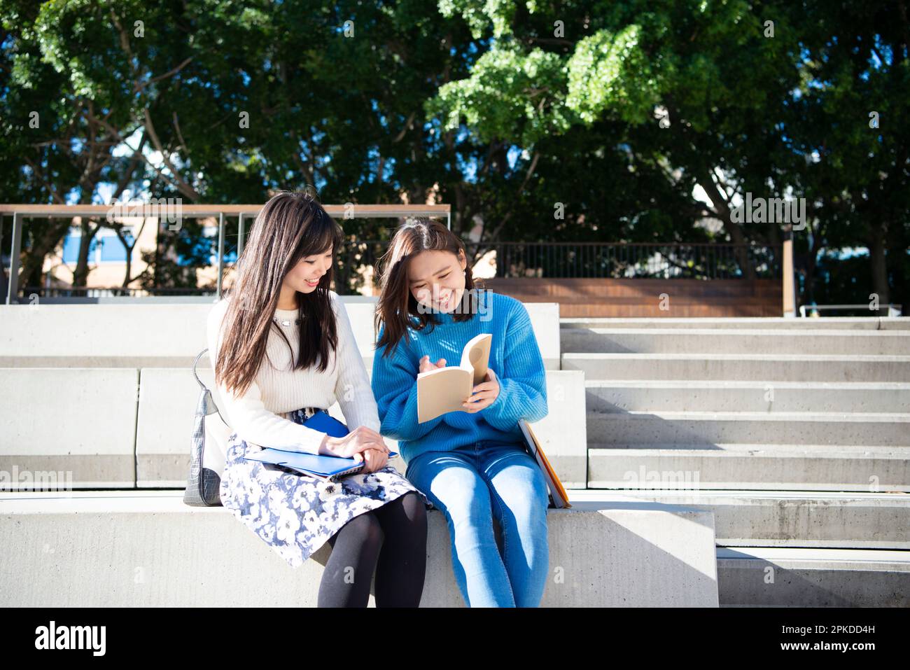 College student reading hi-res stock photography and images - Alamy