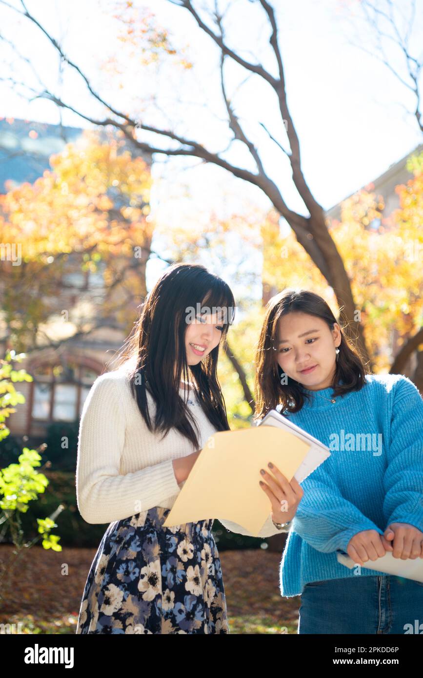 Study talking hi-res stock photography and images - Alamy