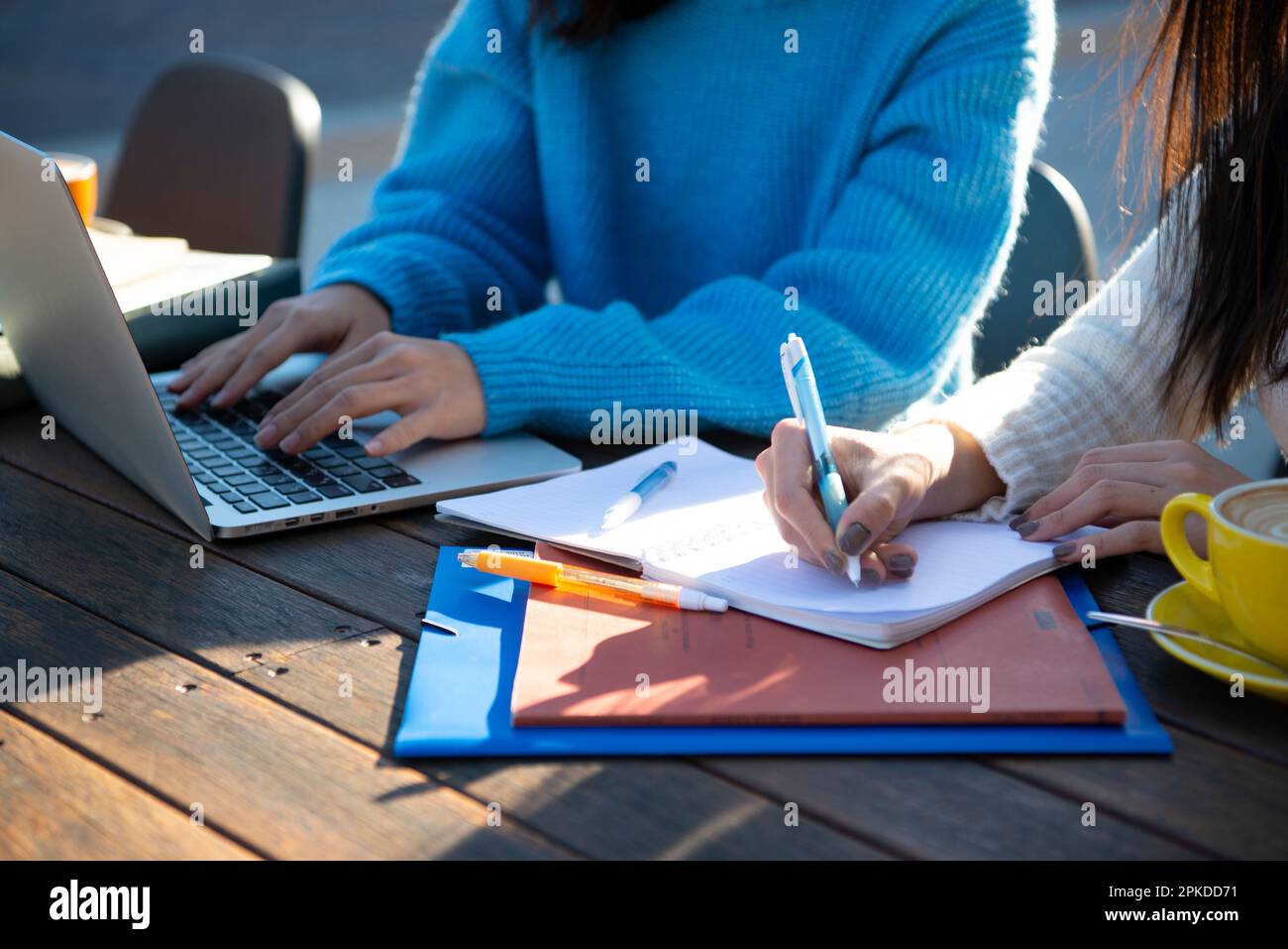 Knees study hi-res stock photography and images - Alamy