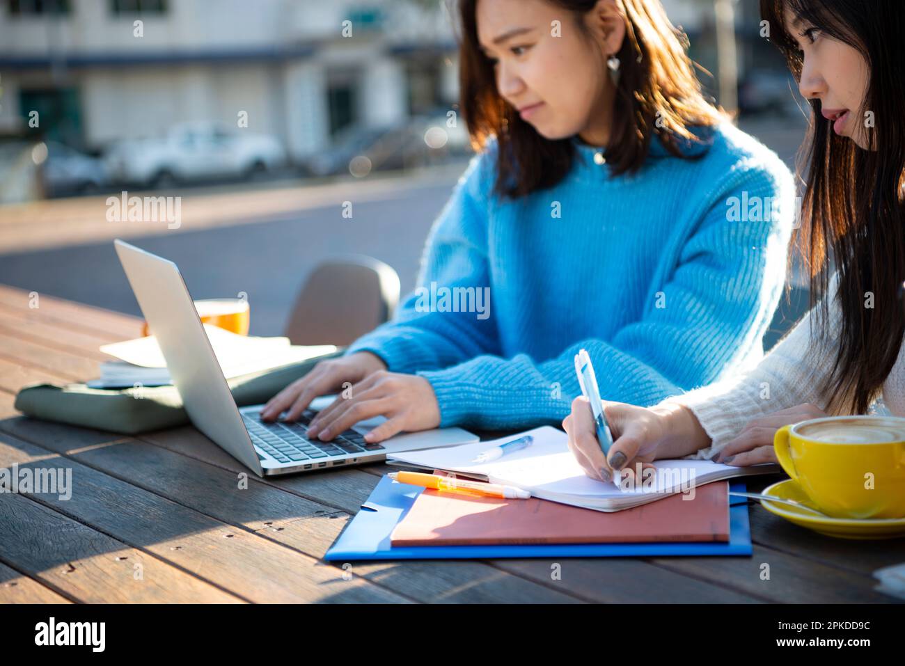 Two people studying at a café Stock Photo - Alamy