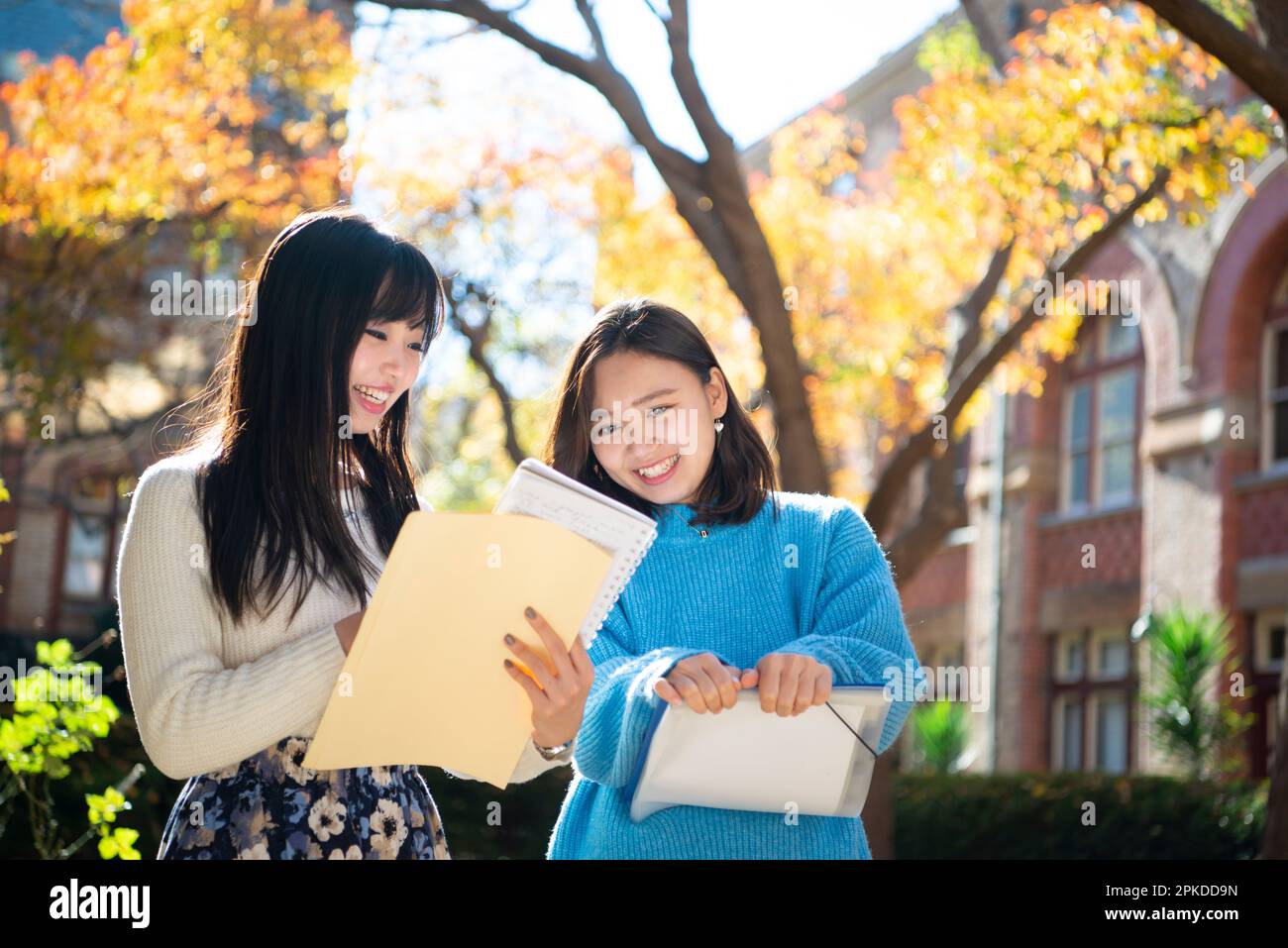 Two people talking over notebooks Stock Photo - Alamy
