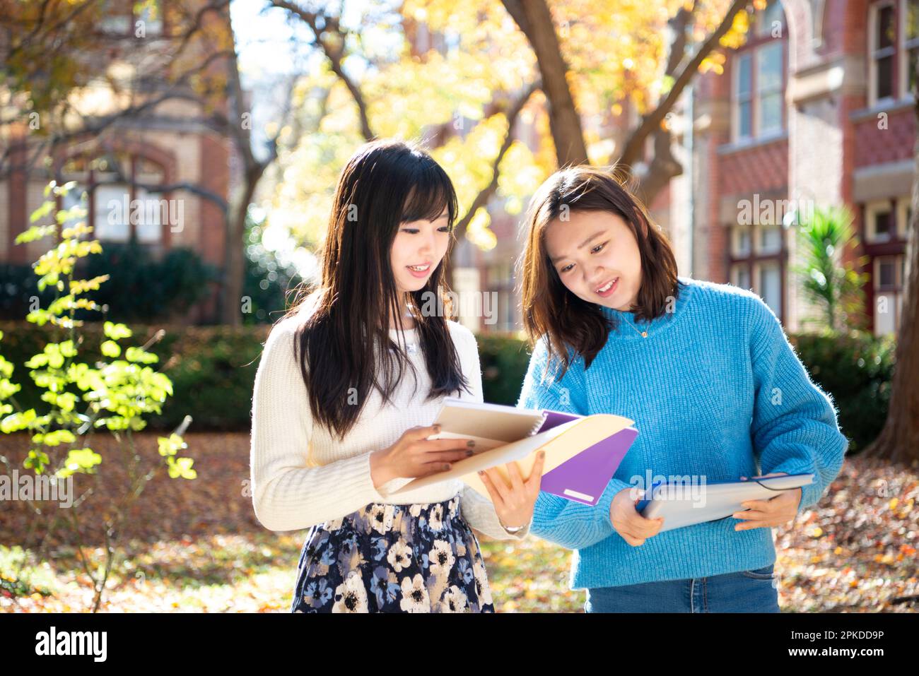 Two people talking over notebooks Stock Photo - Alamy