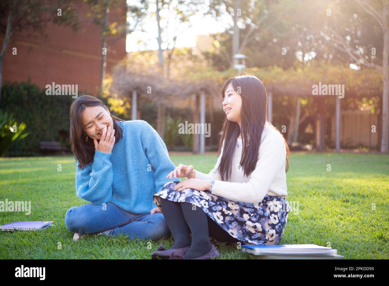 People sitting on the lawn hi-res stock photography and images - Alamy