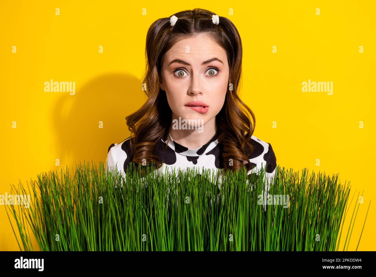 Photo of shocked lady hide in summer green grass meadow fresh milk ...