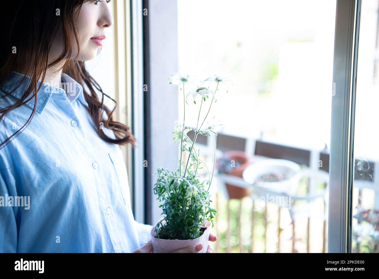 Asian woman flower pot hi-res stock photography and images - Alamy