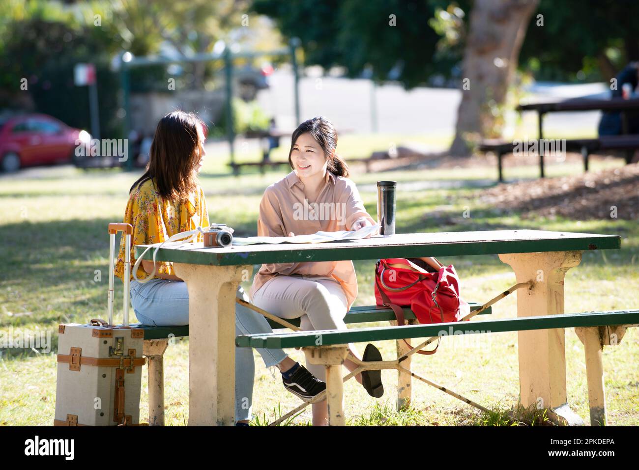Two women planning a trip Stock Photo - Alamy