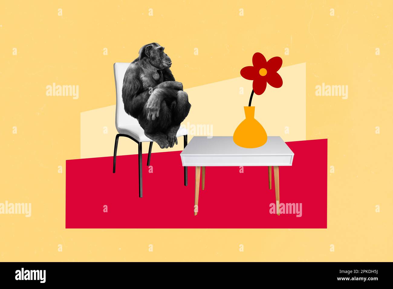 Creative photo 3d illustration collage of funny monkey sitting on chair ...
