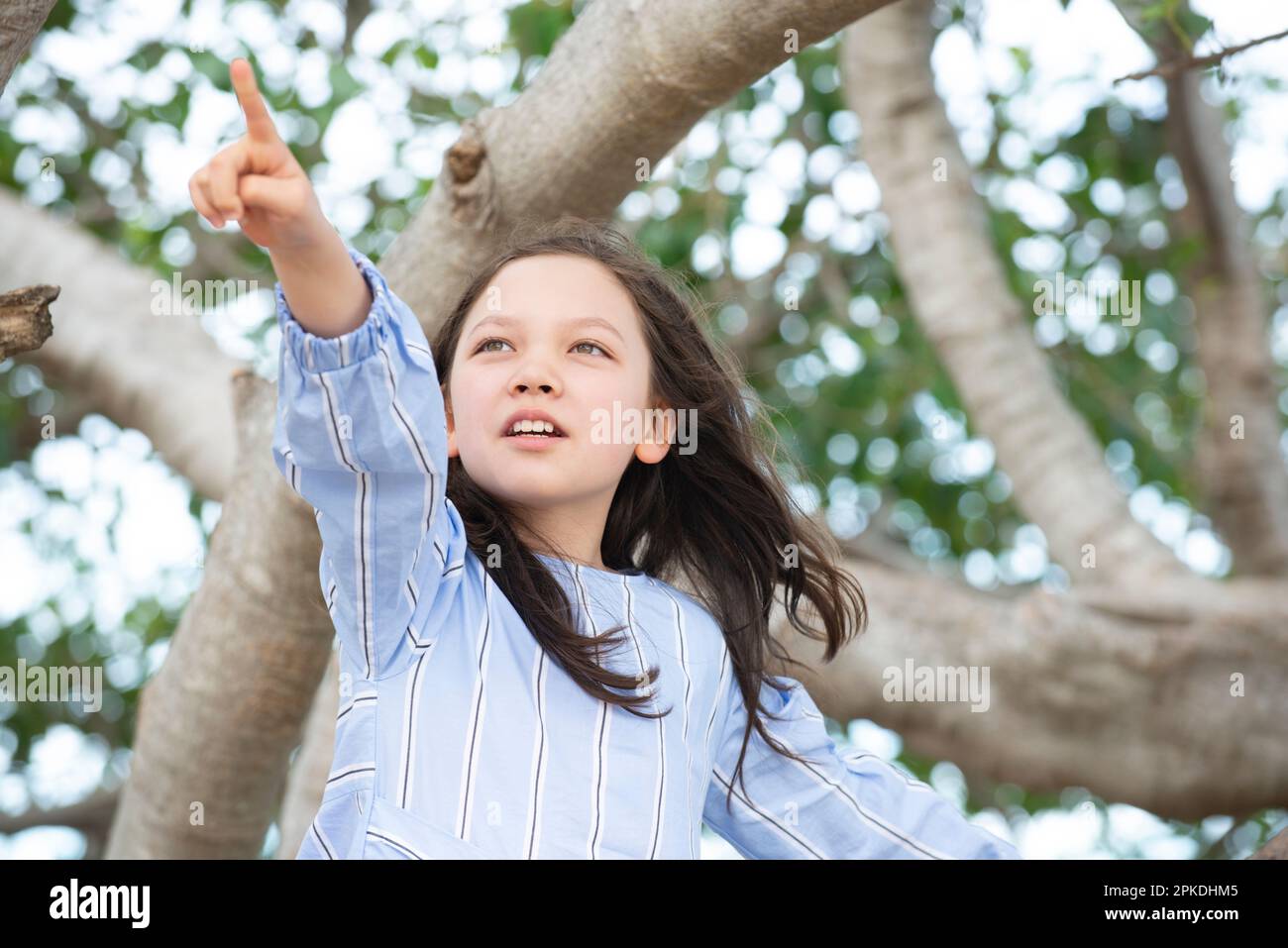 Half Girl Pointing Up Tree Stock Photo - Alamy