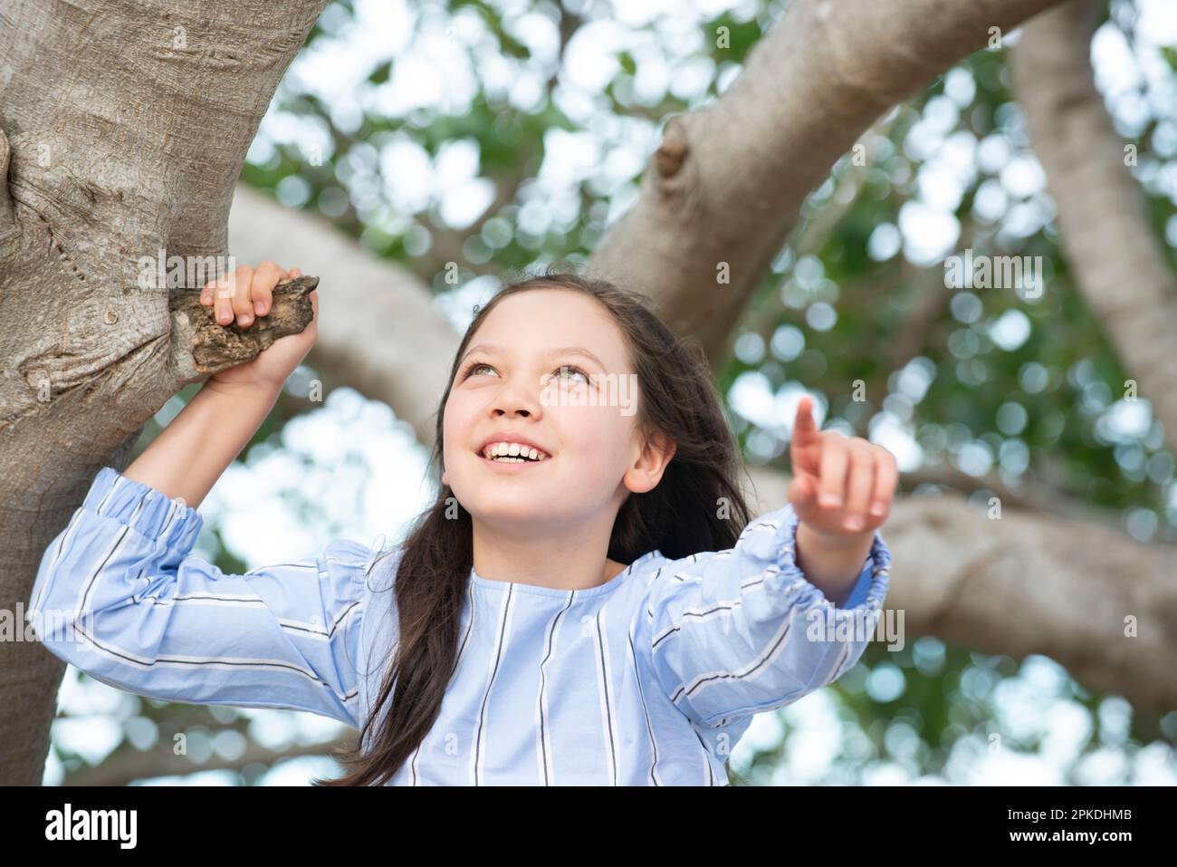 Half-girl pointing up a tree Stock Photo - Alamy