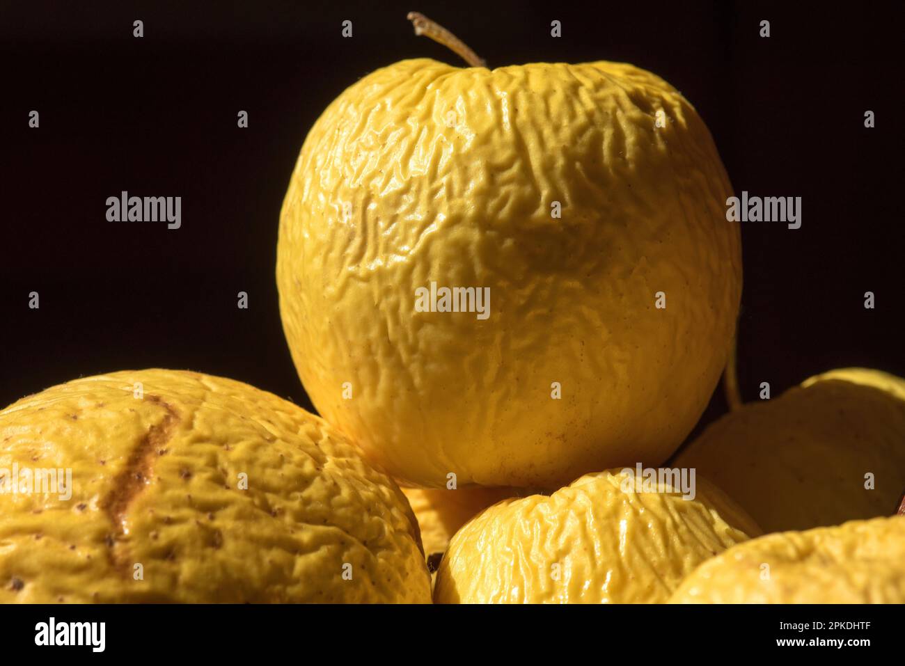 Albero delle caratteristiche hi-res stock photography and images - Alamy