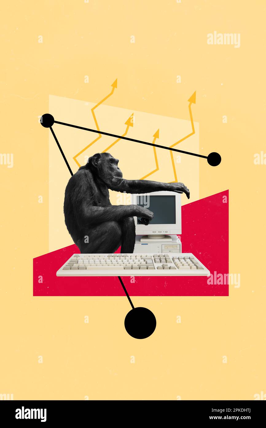 Image poster magazine collage of monkey working using pc computer feel ...