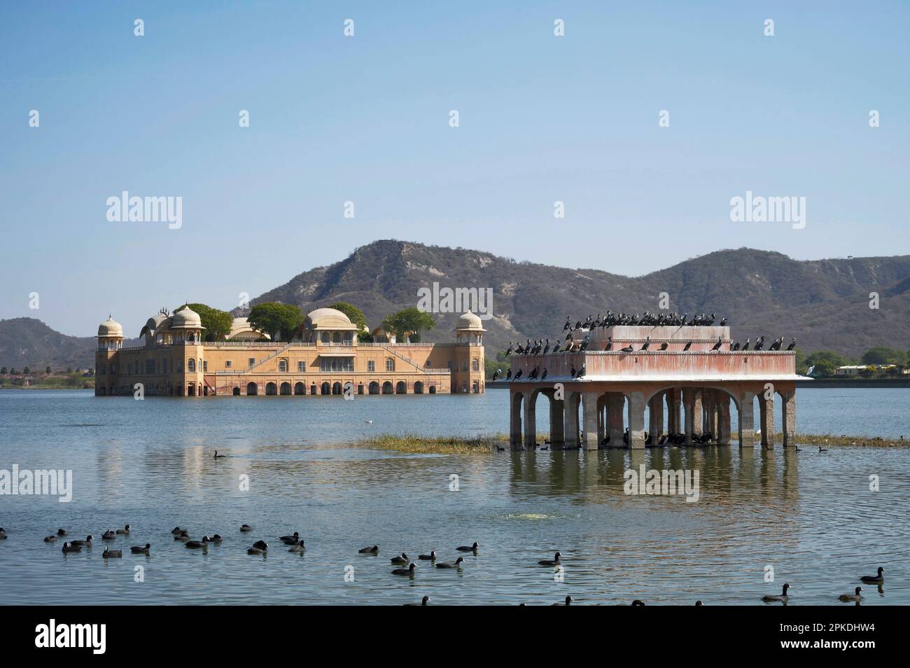 Jal Mahal or Water Palace is a palace in the middle of the Man Sagar ...