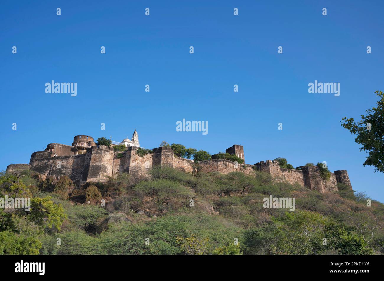 Moti doongri ganesh ji temple hi-res stock photography and images - Alamy