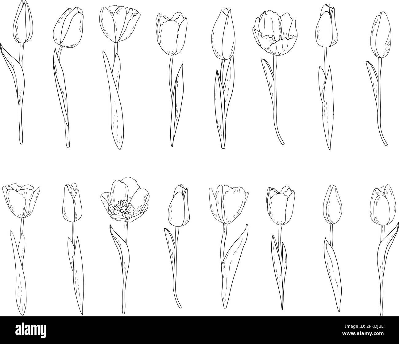 Hand-drawn vector set of outline tulips with shading Stock Vector Image ...