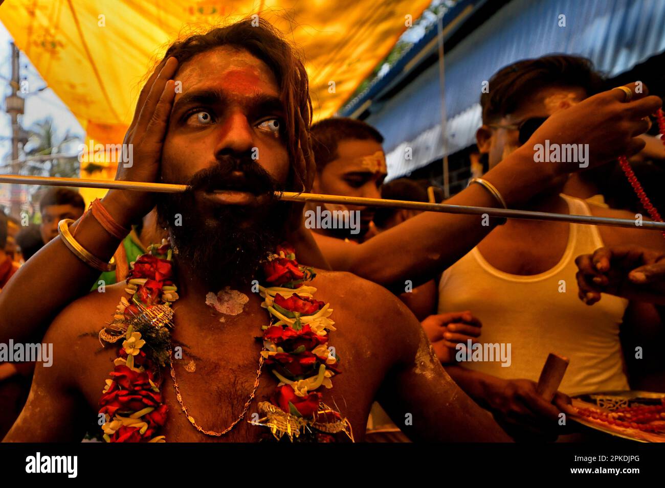 Bandel, India. 06th Apr, 2023. A devotee pierces his cheeks with a ...