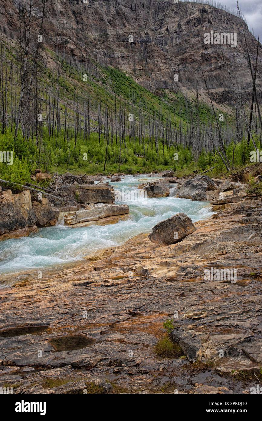Waterfall,Marble Canyon. Kooteny National Park, Canada Stock Photo - Alamy