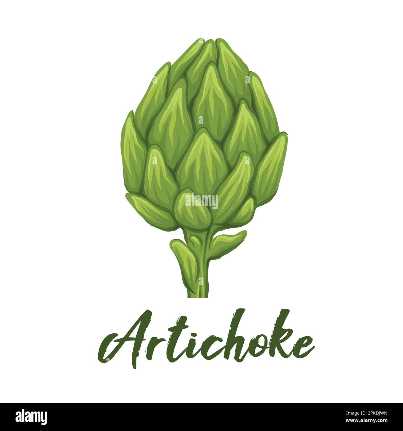 Vector cartoon clipart of hand drawn artichokes with ink splashes ...