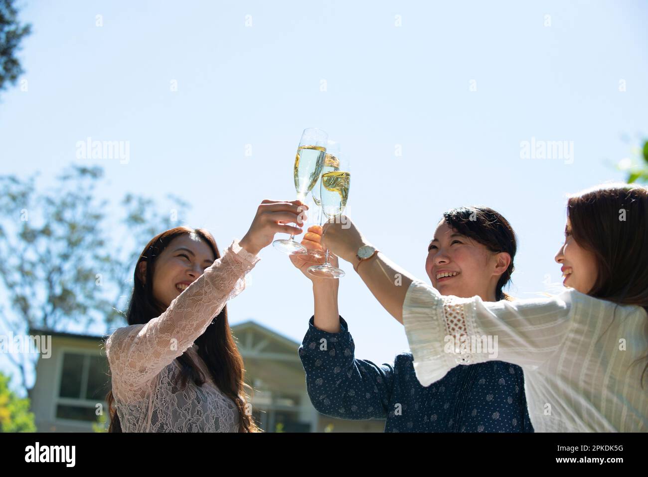 Three smiling women making a toast at a garden party Stock Photo - Alamy