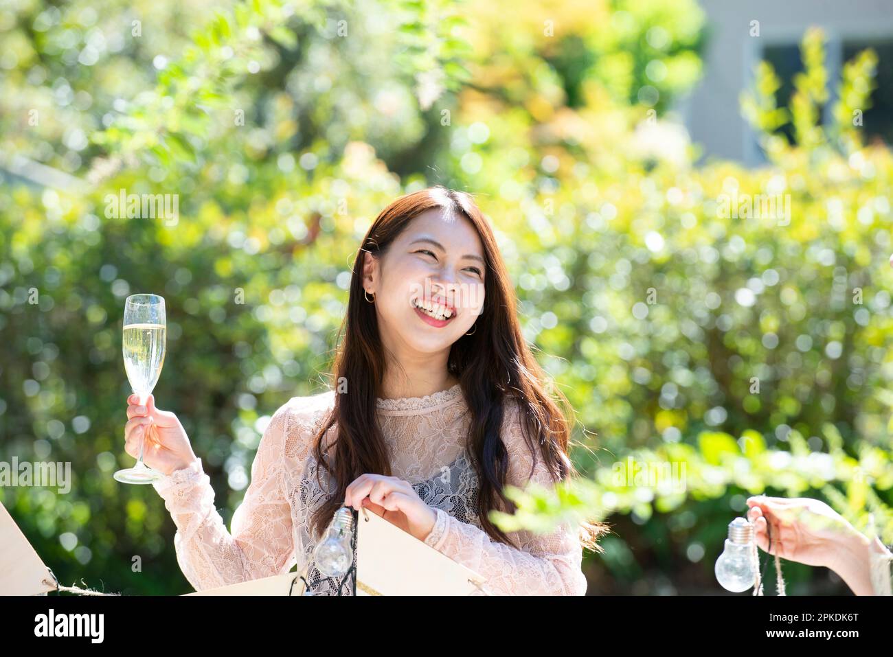 Women decorating for a garden party Stock Photo - Alamy