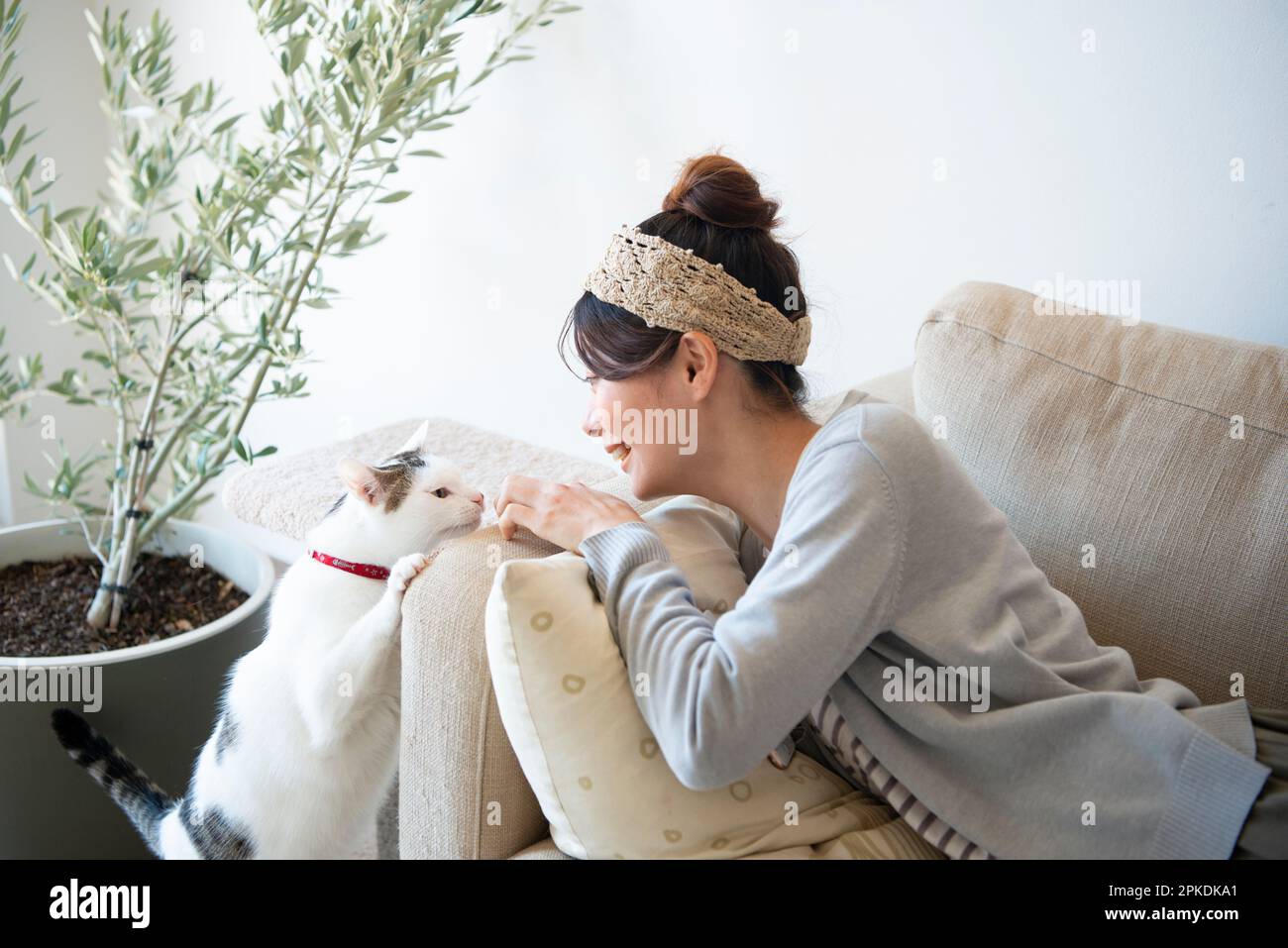 Cat woman japanese hi-res stock photography and images - Alamy