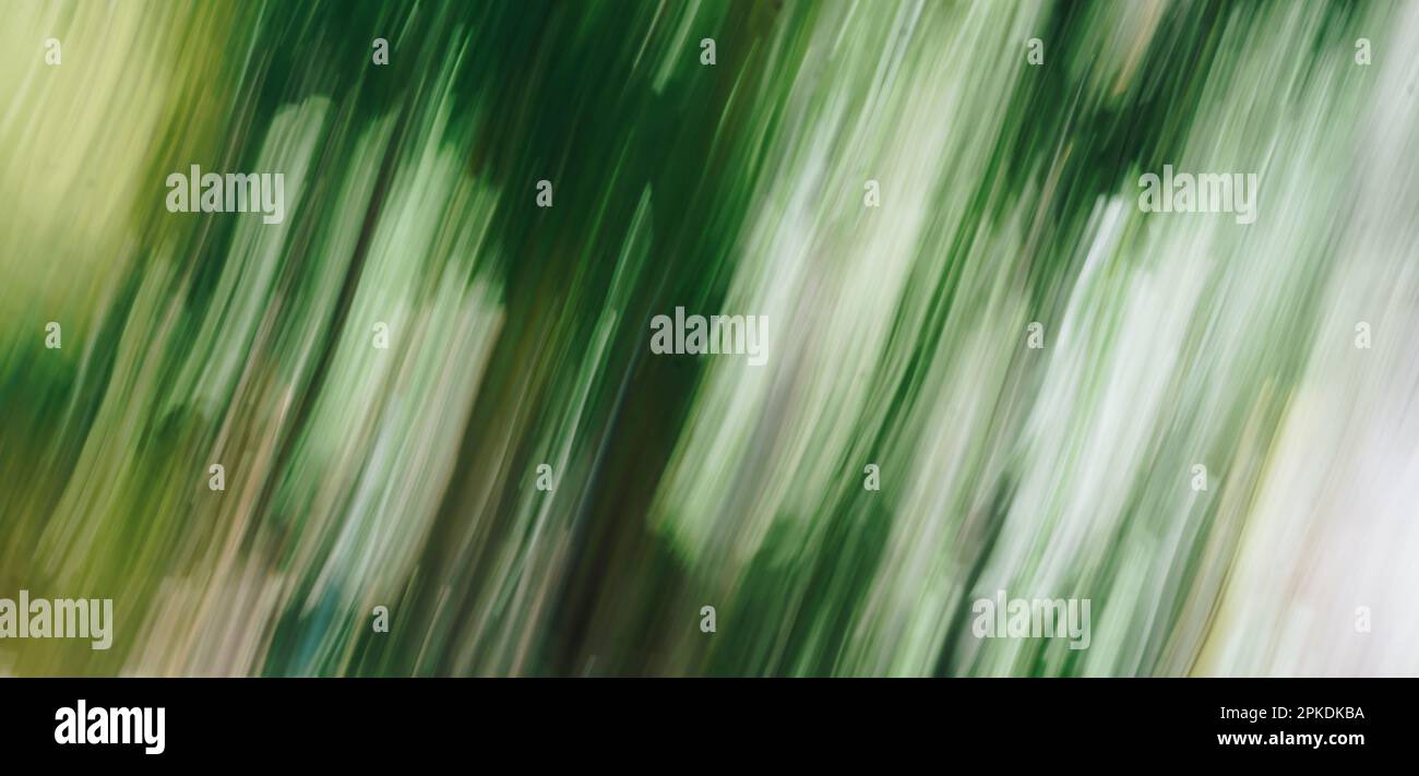 A green tree in the background swirl strokes smeared effect Stock Photo ...