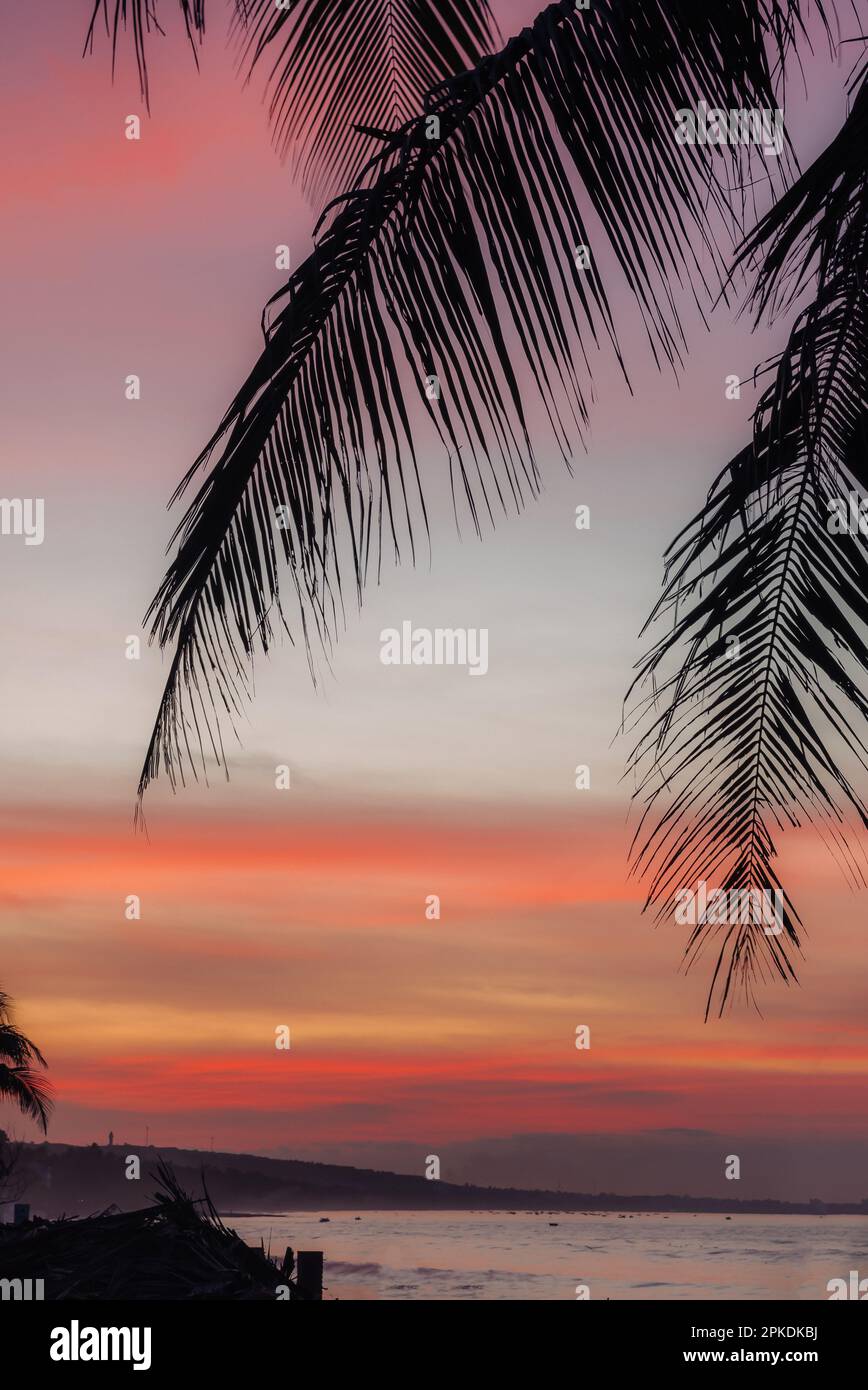 Palm tree and the ocean at sunset sunrise Stock Photo - Alamy