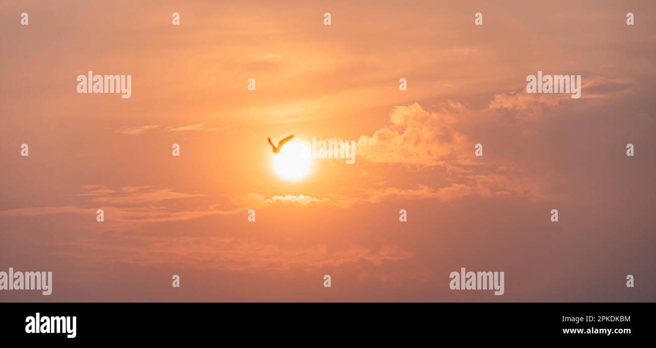 Puzzled face portrait hi-res stock photography and images - Alamy