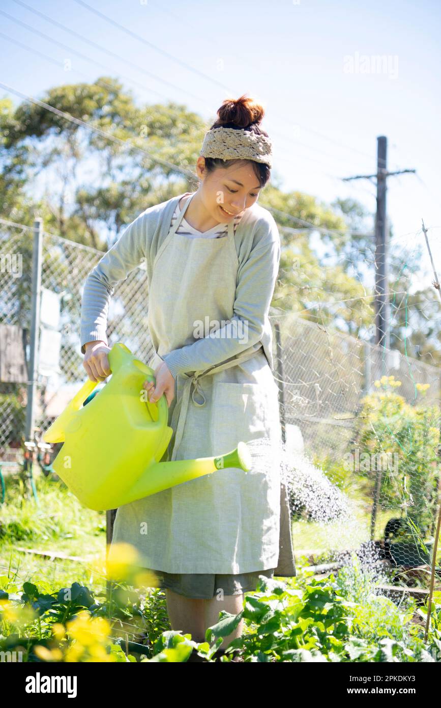 Person watering vegetable garden hi-res stock photography and images ...
