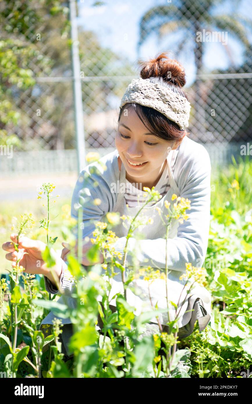 Woman tending to a garden hi-res stock photography and images - Alamy