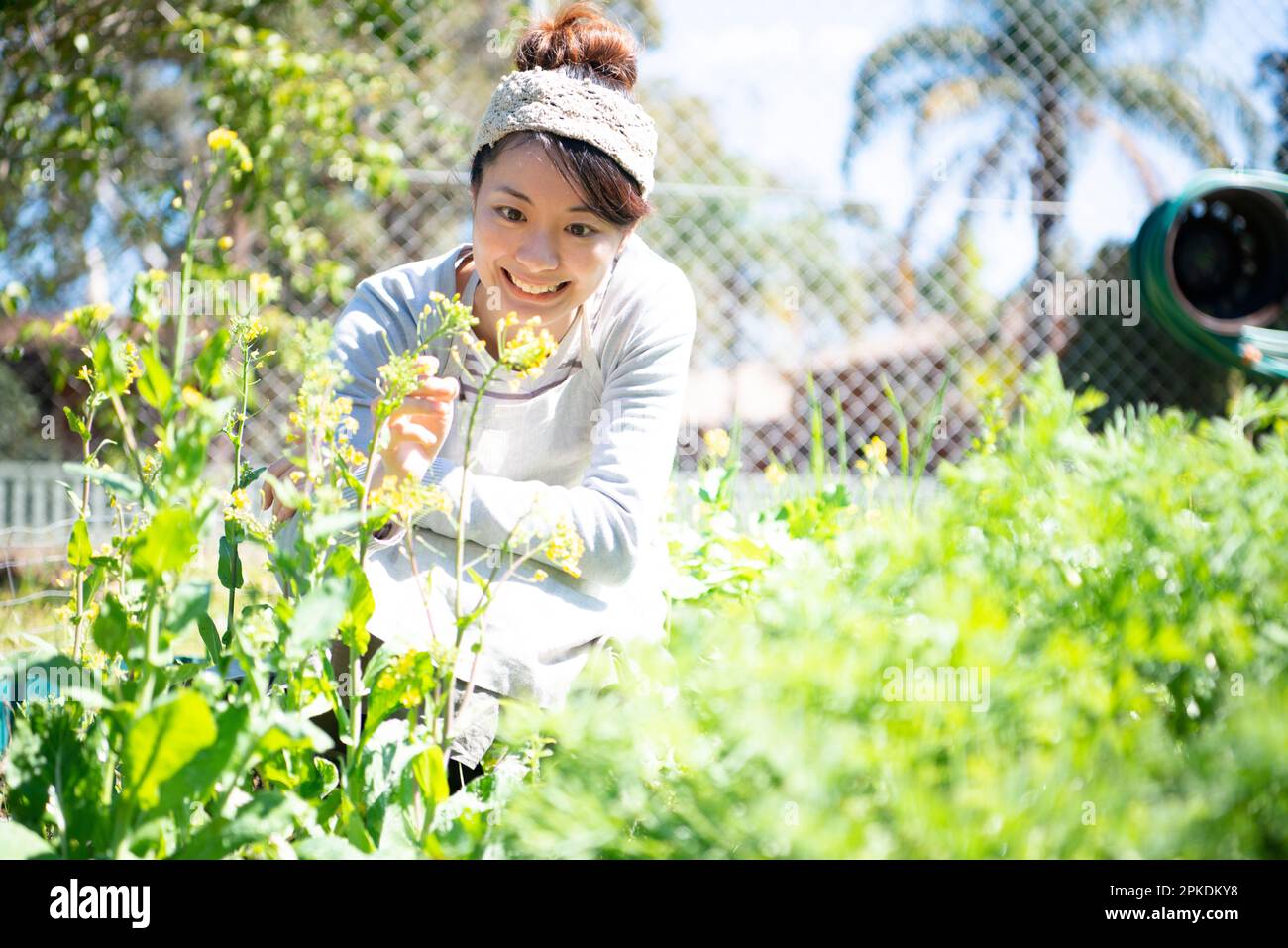 One woman garden hi-res stock photography and images - Alamy